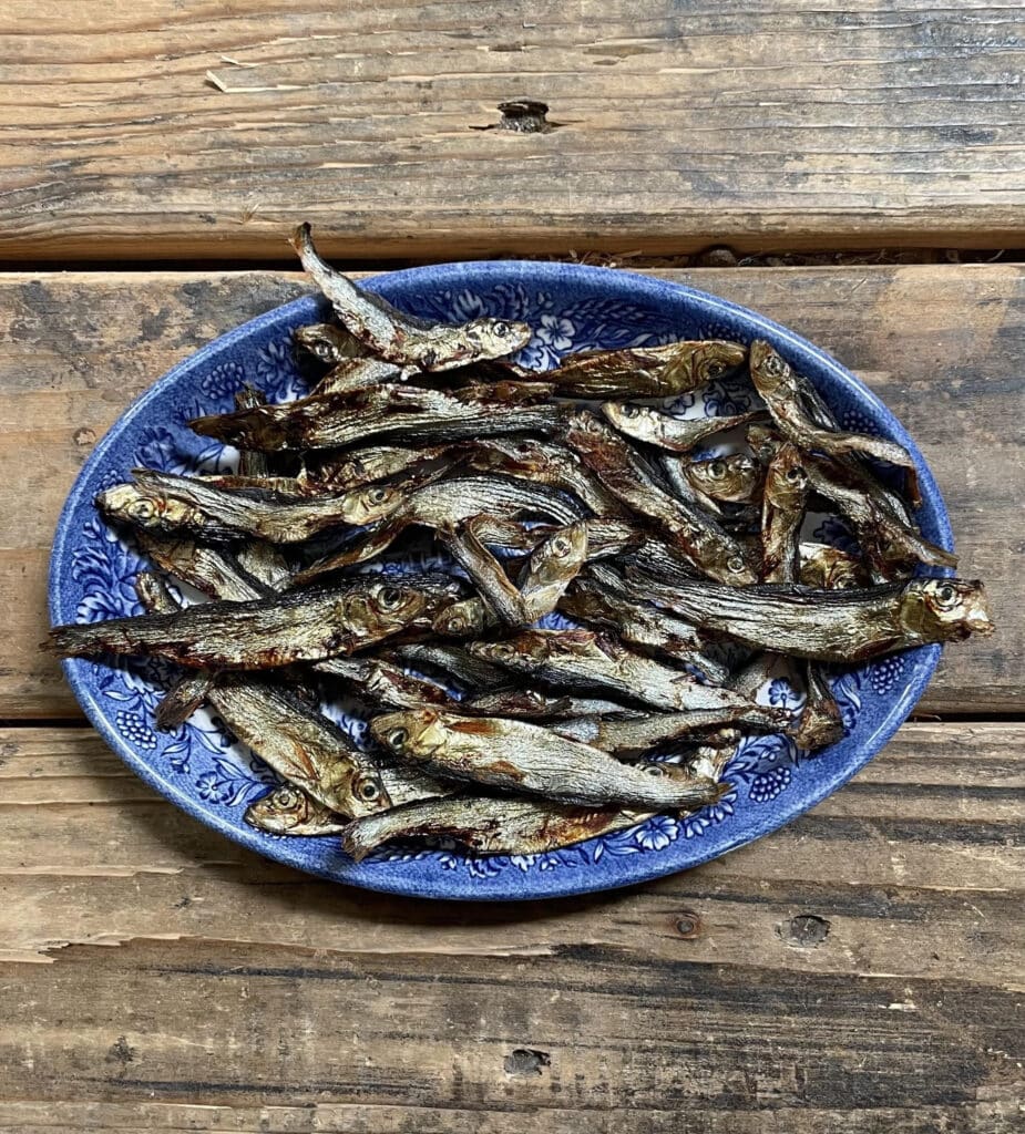 Capelines | Ole tus huellas