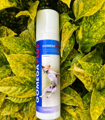 Cómo elegir un buen Omega 3 de origen animal - Ole tus huellas