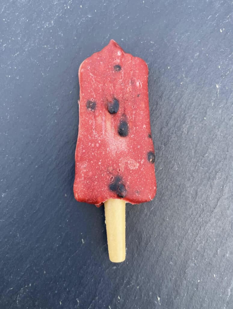 Polo de Pollo con Arándanos | Ole tus huellas